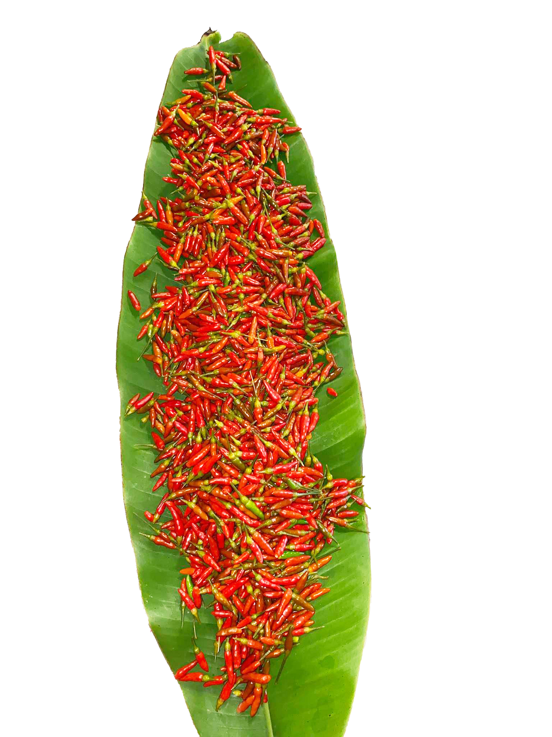 JADESA - Pohnpei Exporter of Coconut Products, Black Pepper